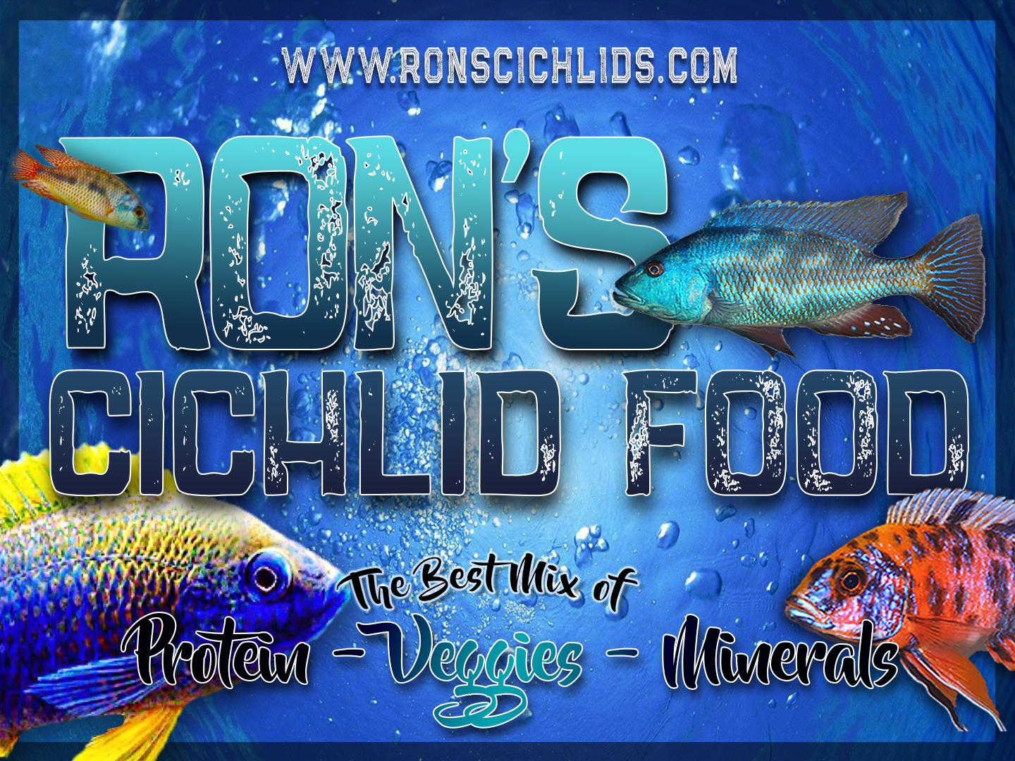 Shop Ron's Cichlids Big Fry Food – Sanctuary Cichlids