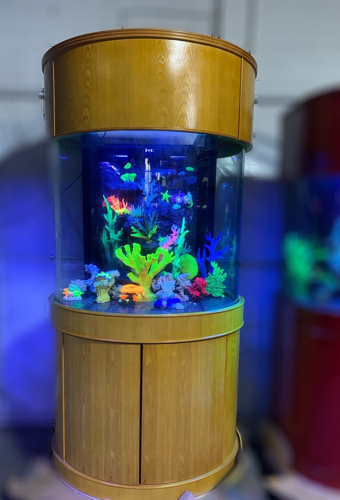 Shop 90 Gallon Glass 3/4 Cylinder Round Aquarium With Stand and Canopy ...